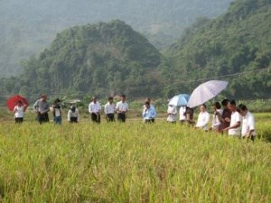 Trung tâm Thực nghiệm và Đào tạo nghề tổ chức hội nghị đầu bờ “So sánh ...